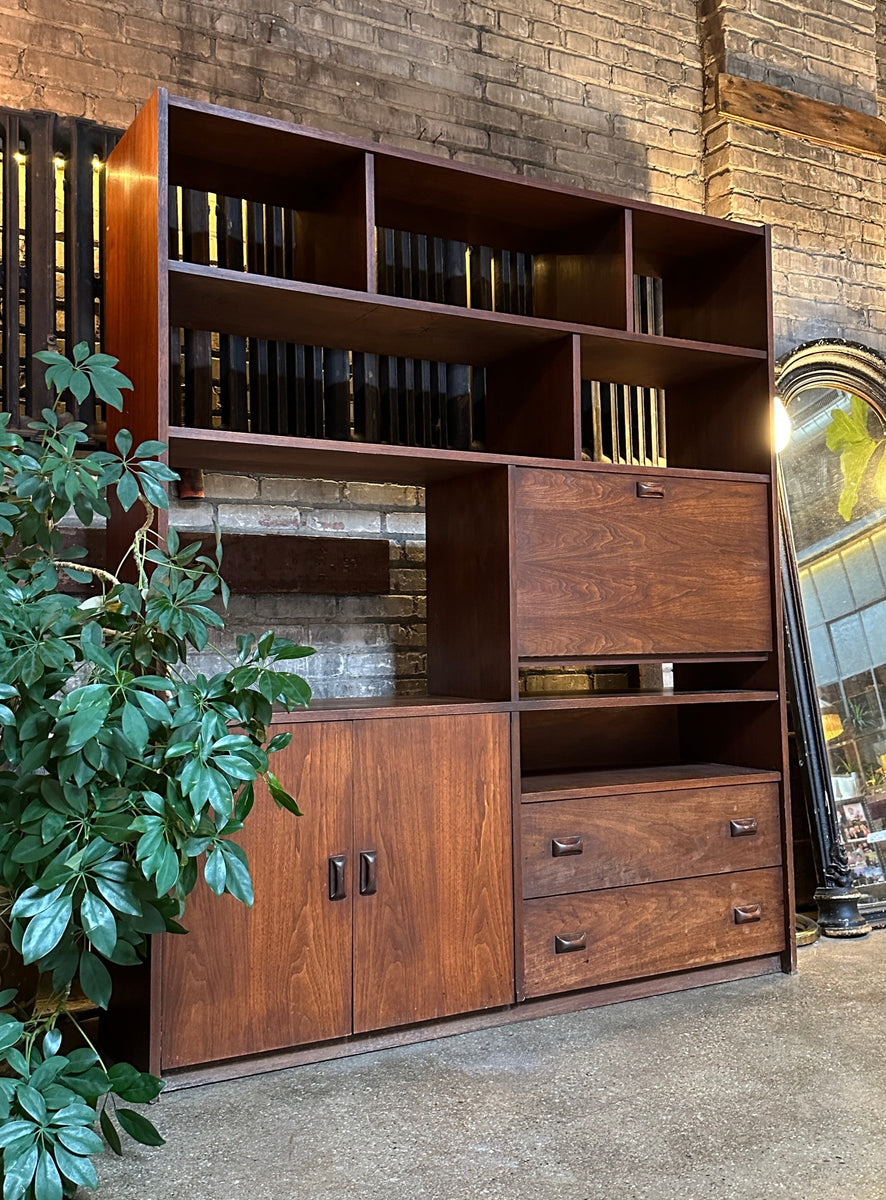 Mid-Century Wall Unit – Dandy