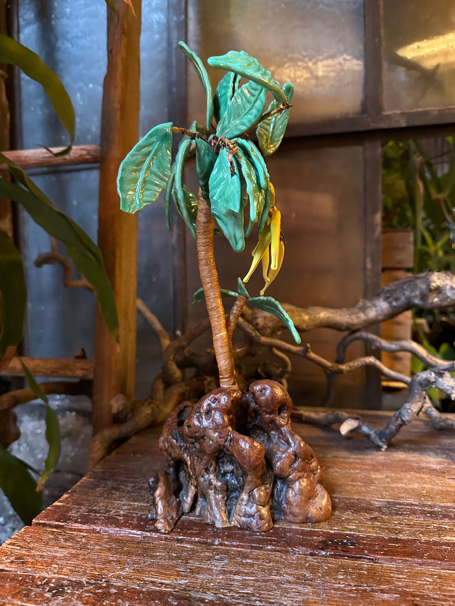 Ceramic and Driftwood Palm Tree – Dandy