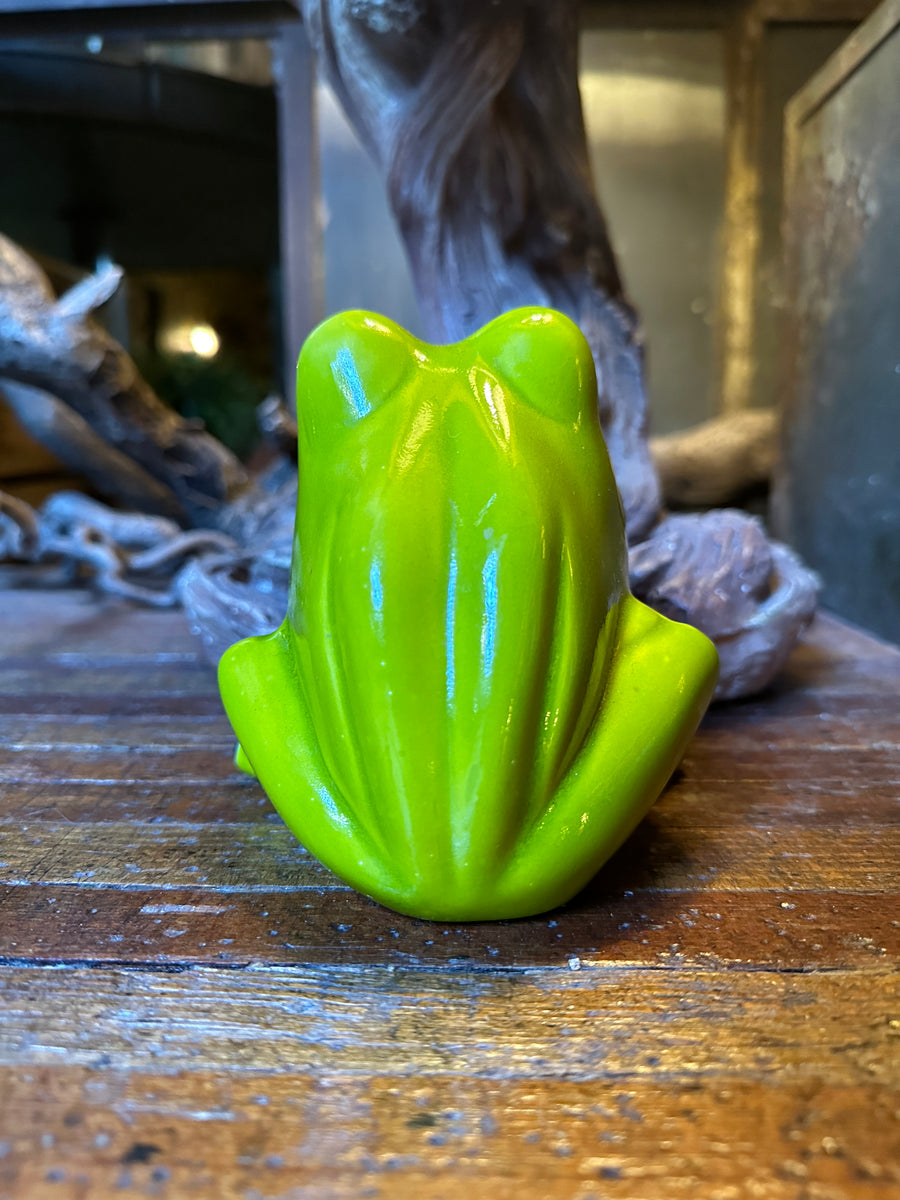 Ceramic Sponge Frog – Dandy
