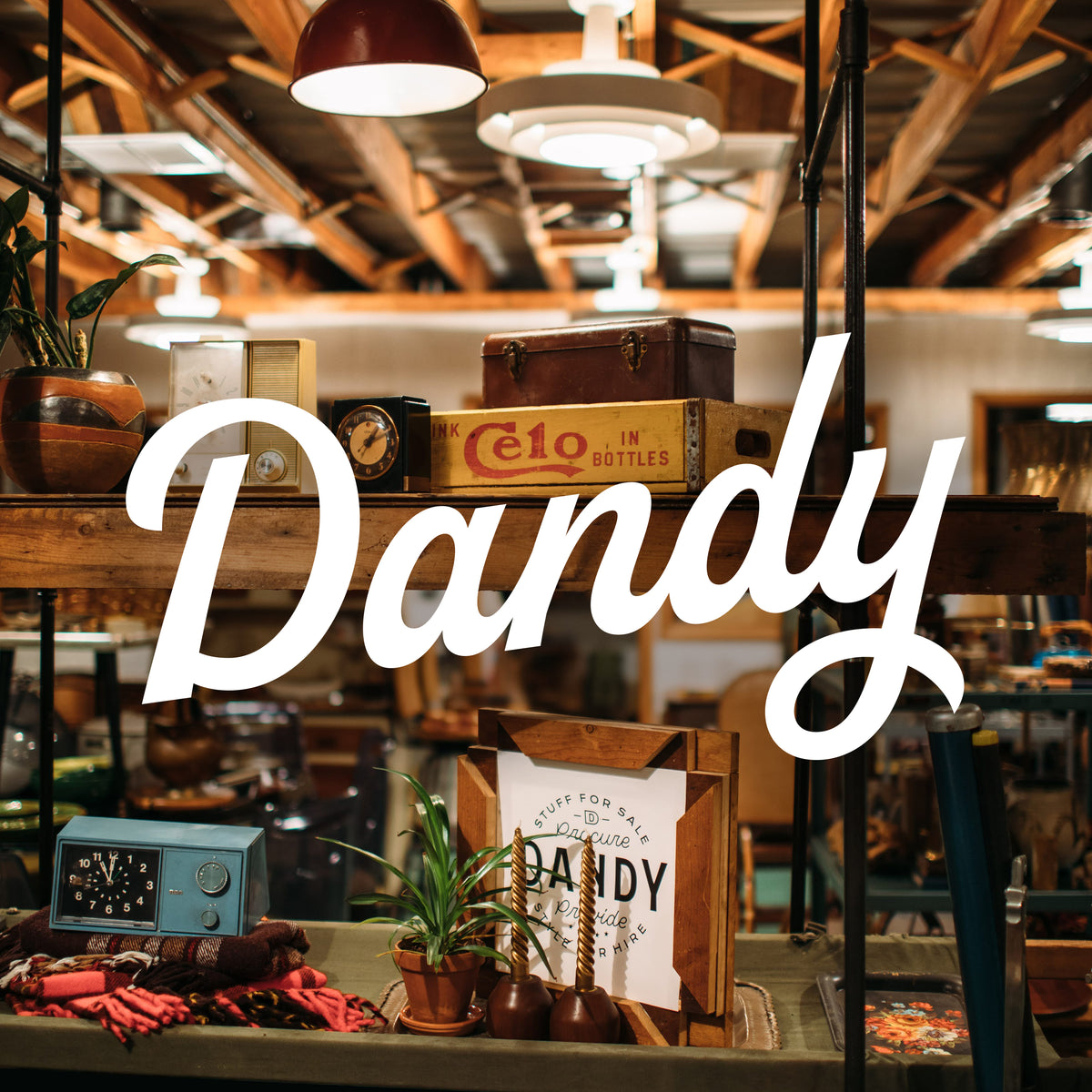 Dandy | Stuff For Sale