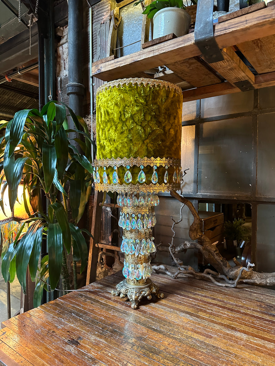 Lamp of Your Dreams – Dandy