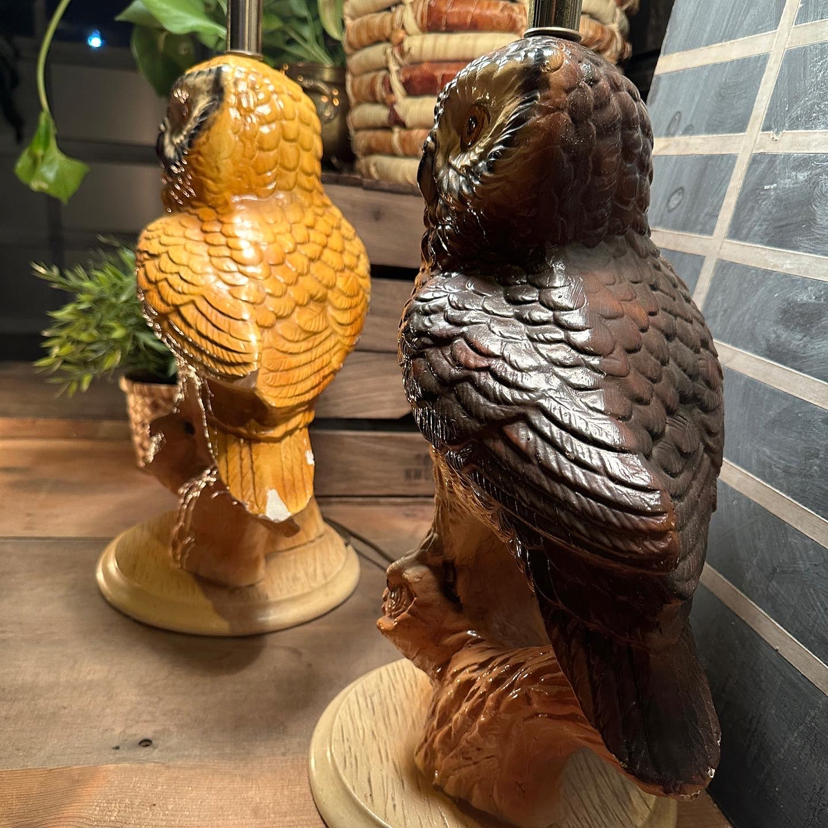 Ceramic Owl Lamp Set (2) – Dandy